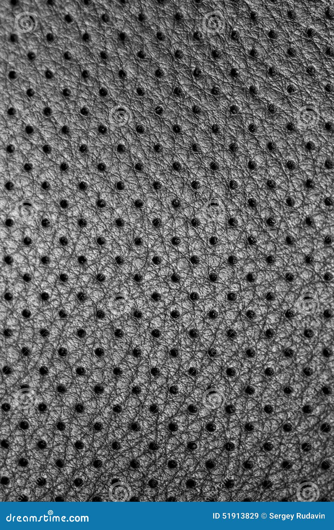 Perforated Leather Texture Stock Photography | CartoonDealer.com #30428204