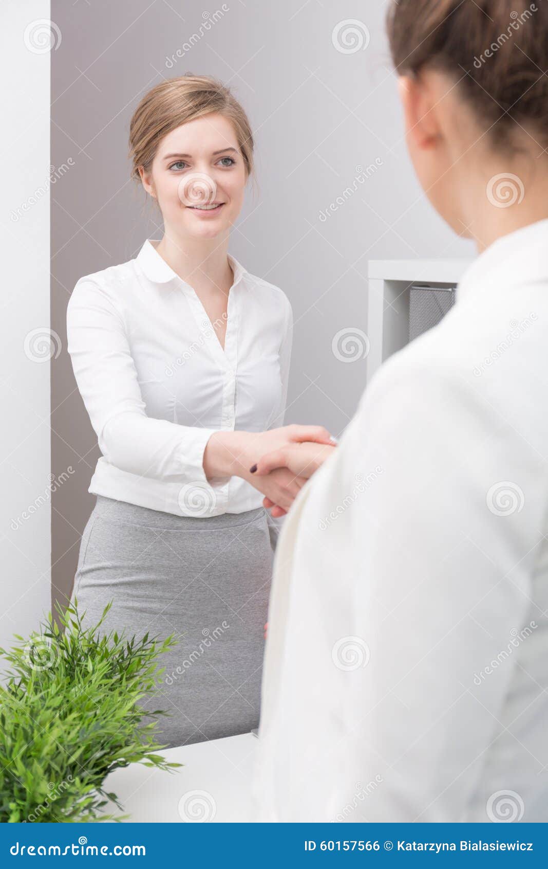 Performance Appraisal Interview Stock Photo - Image of interview ...