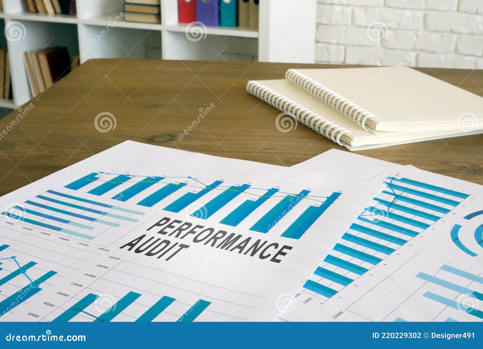 Performance Audit Report with Data in Charts. Stock Photo - Image of ...