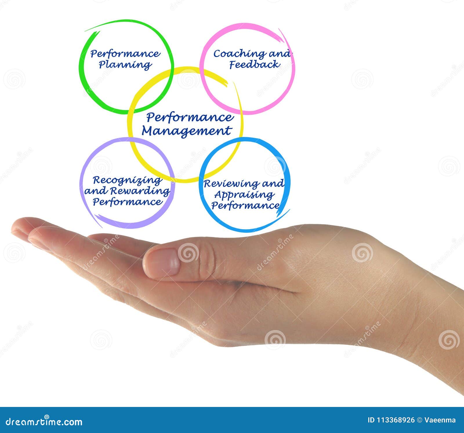 Performance Management Diagram Stock Photo - Image of palm, consulting ...