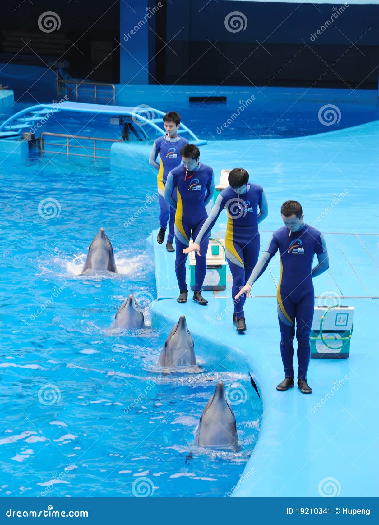 Performing Dolphin and Trainer Editorial Photo - Image of destination ...