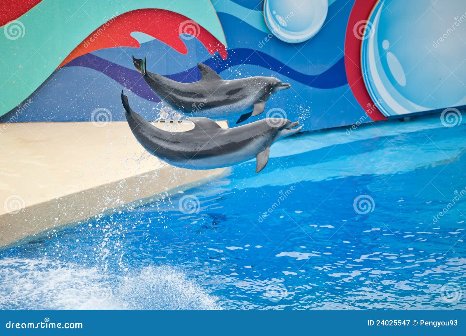 Performing dolphins stock image. Image of training, amusement - 24025547
