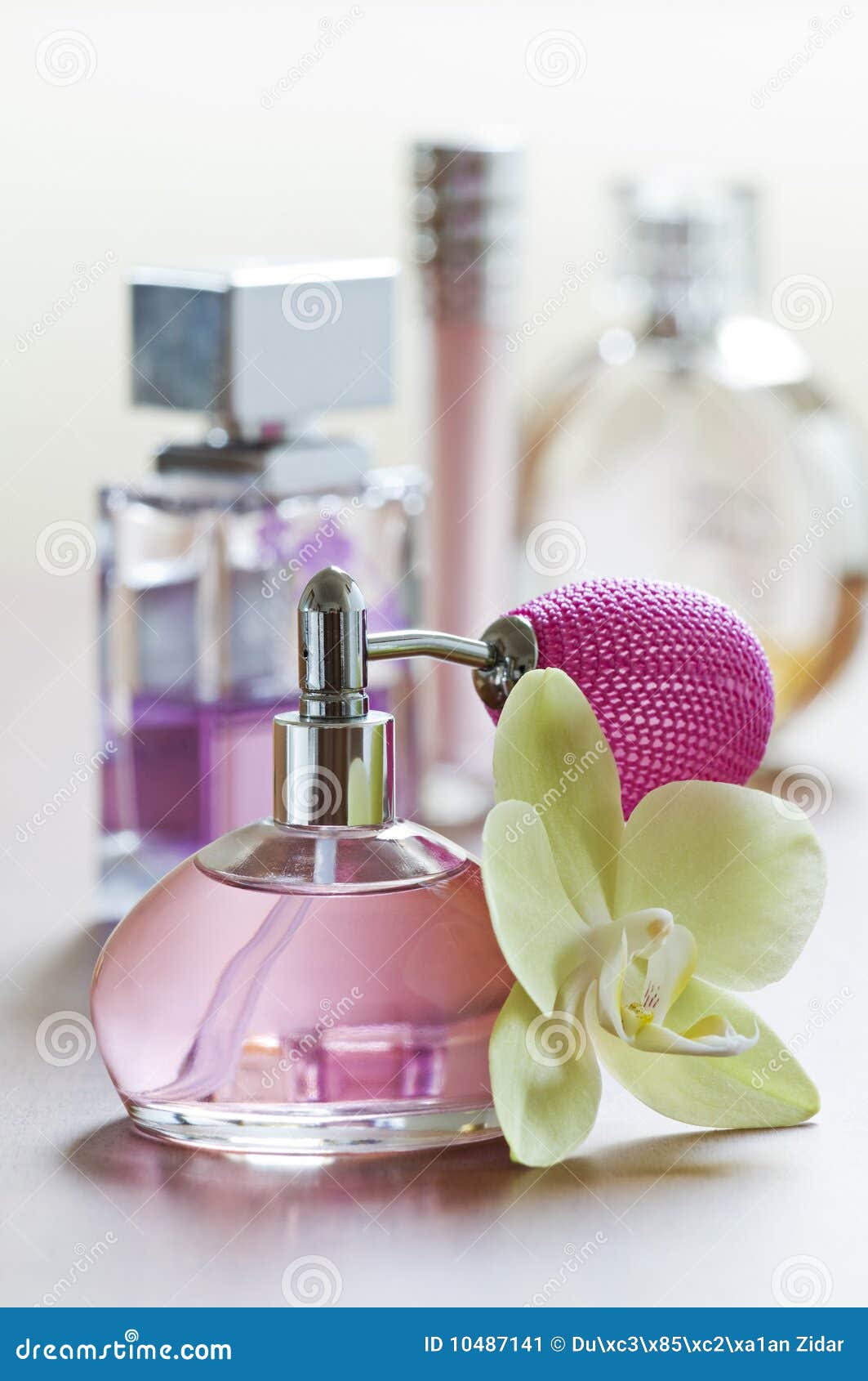 Perfume stock image. Image of fashion, flower, liquid - 10487141