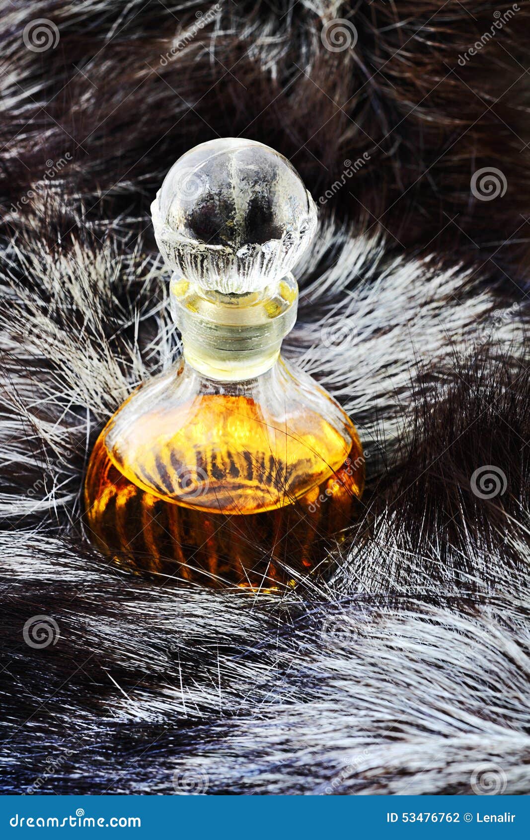 Perfume foto de archivo. Imagen de zorro, amarillo, vida - 53476762