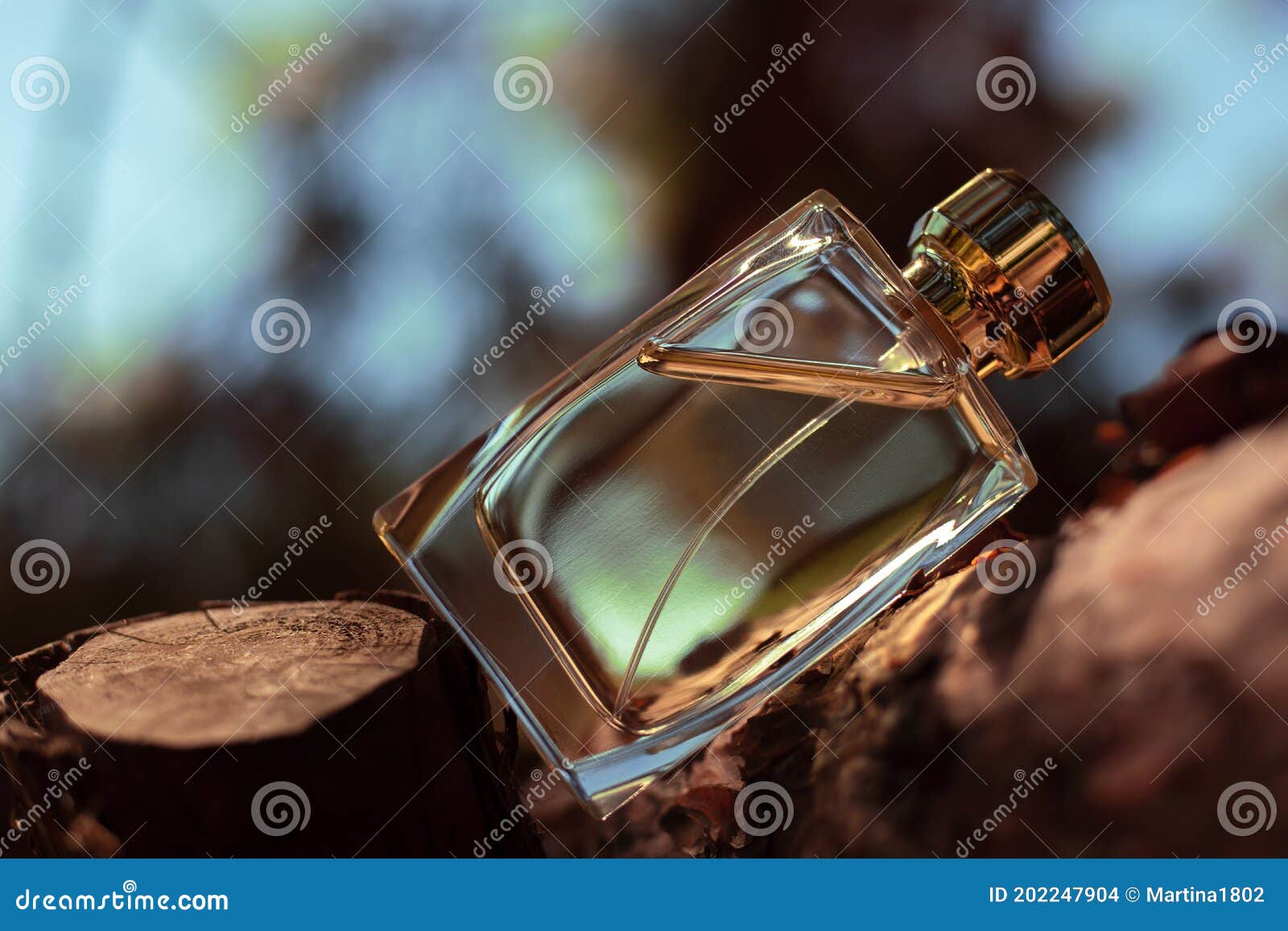 Perfume Bottle on the Background of Nature Stock Photo - Image of ...