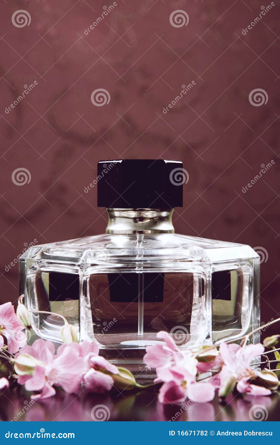 Perfume bottle stock photo. Image of cosmetic, perfume - 16671782