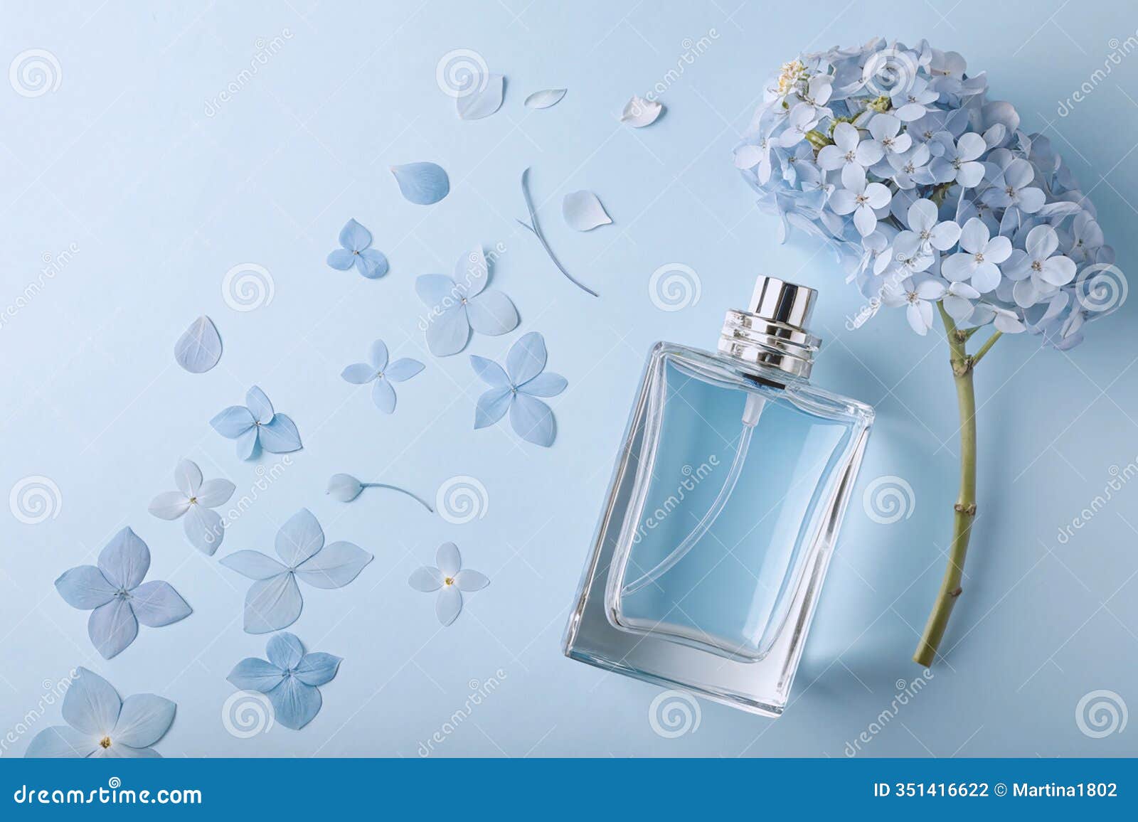 Perfume with Flying Hydrangea Flower at Pale Blue Stock Illustration ...