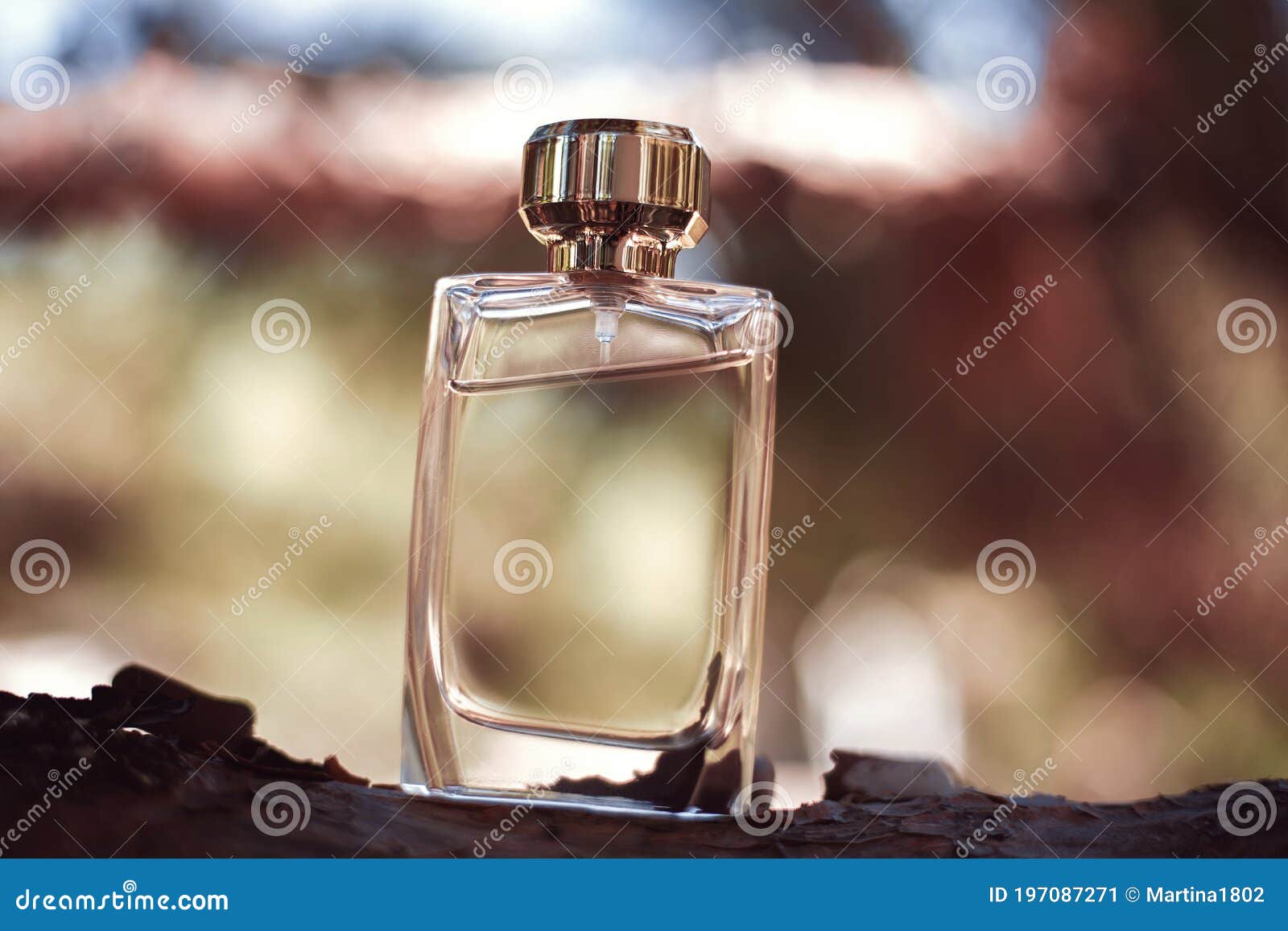 Perfume on Nature Background Stock Image - Image of perfume, container ...