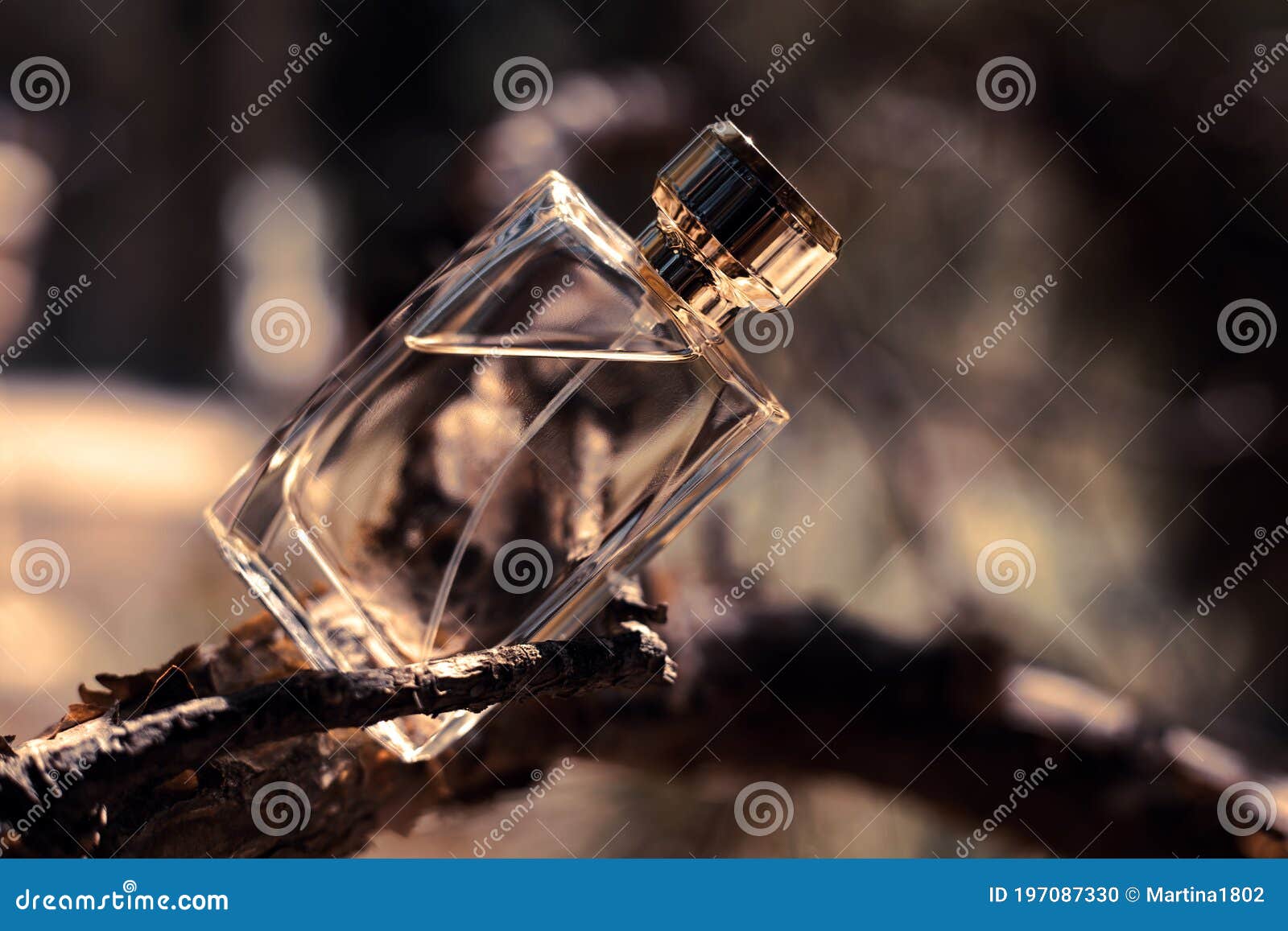 Perfume on Nature Background Stock Photo - Image of banner, cologne ...
