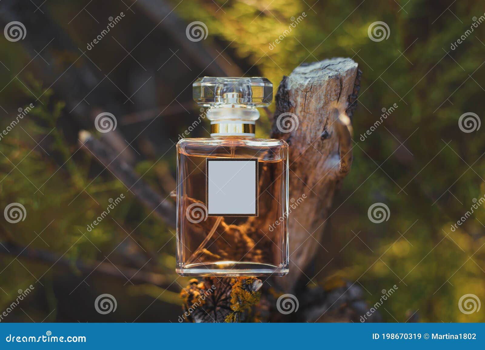 Perfume on Nature Background Stock Image - Image of perfume, container ...