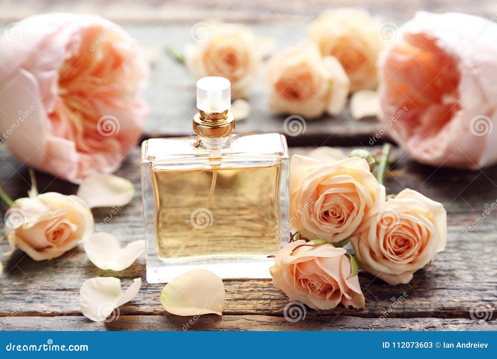 Perfume bottle with roses stock image. Image of aromatherapy - 112073603