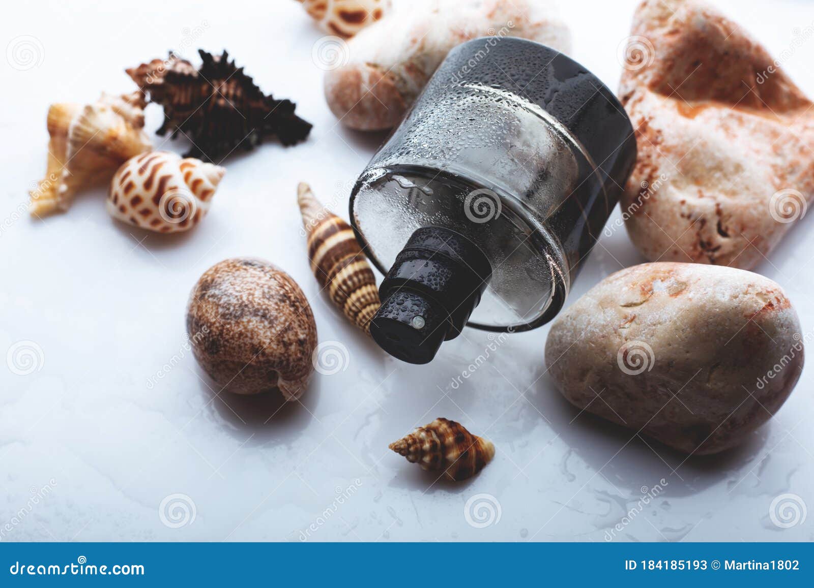 Perfume bottle with shells stock image. Image of ocean - 184185193