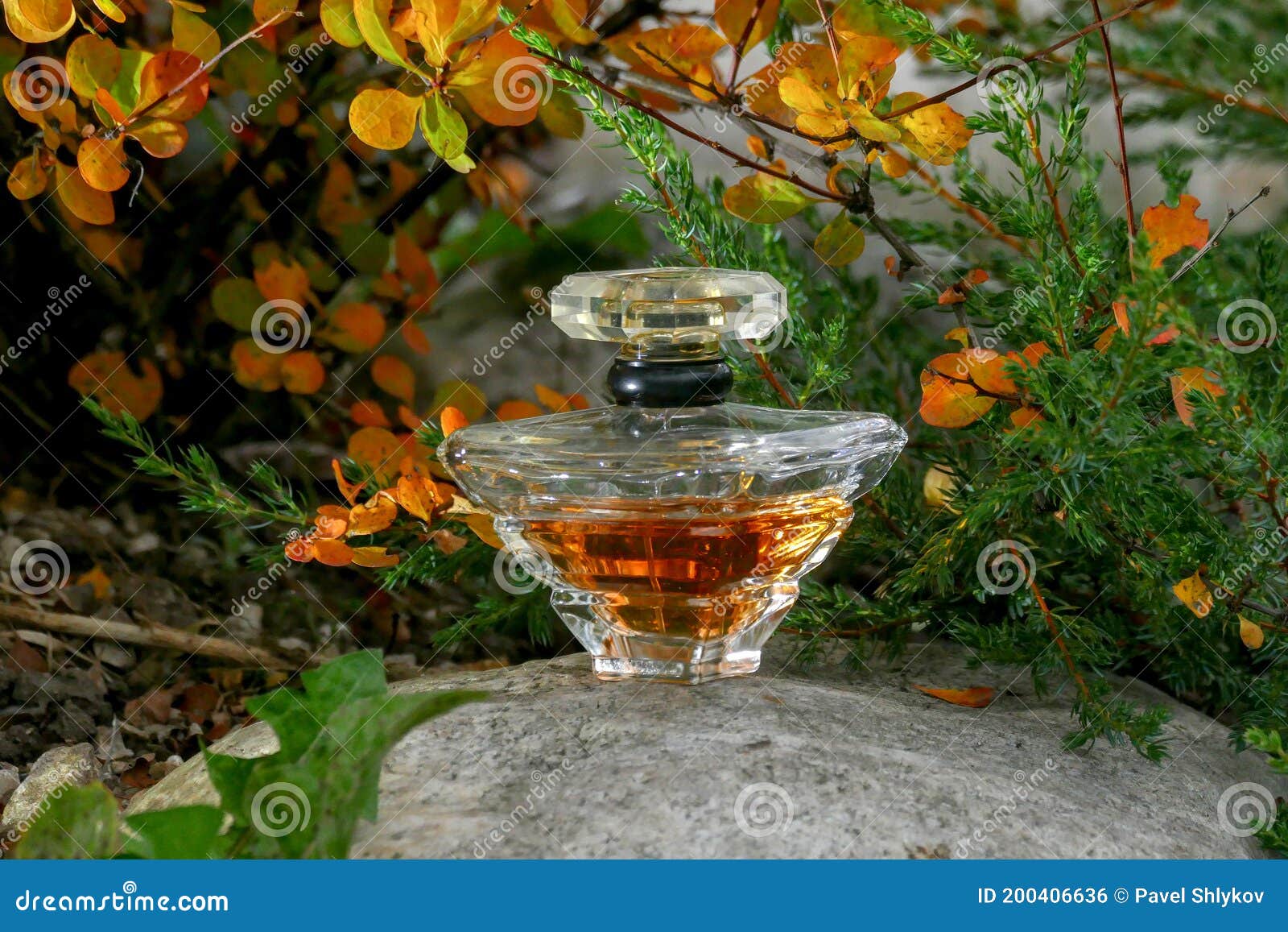Perfume Bottle on the Grass Stock Photo - Image of garden, travel ...
