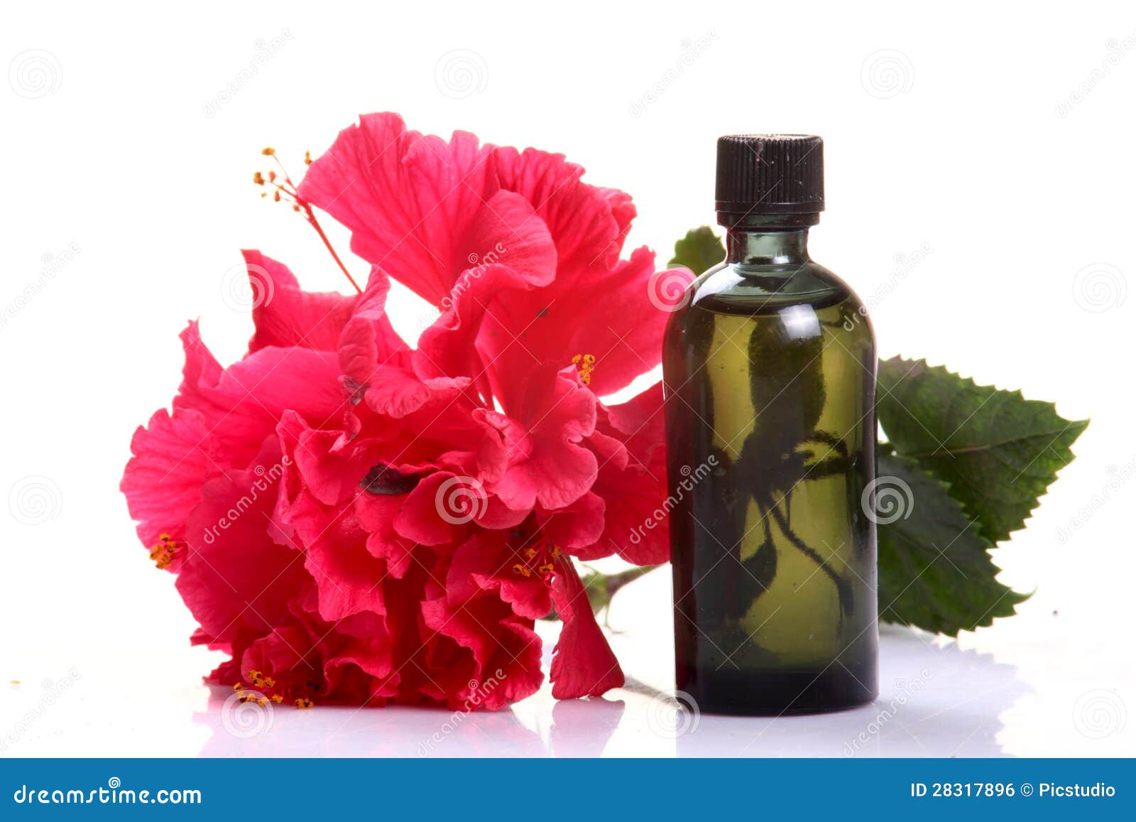Perfume de la flor foto de archivo. Imagen de coloreado - 28317896