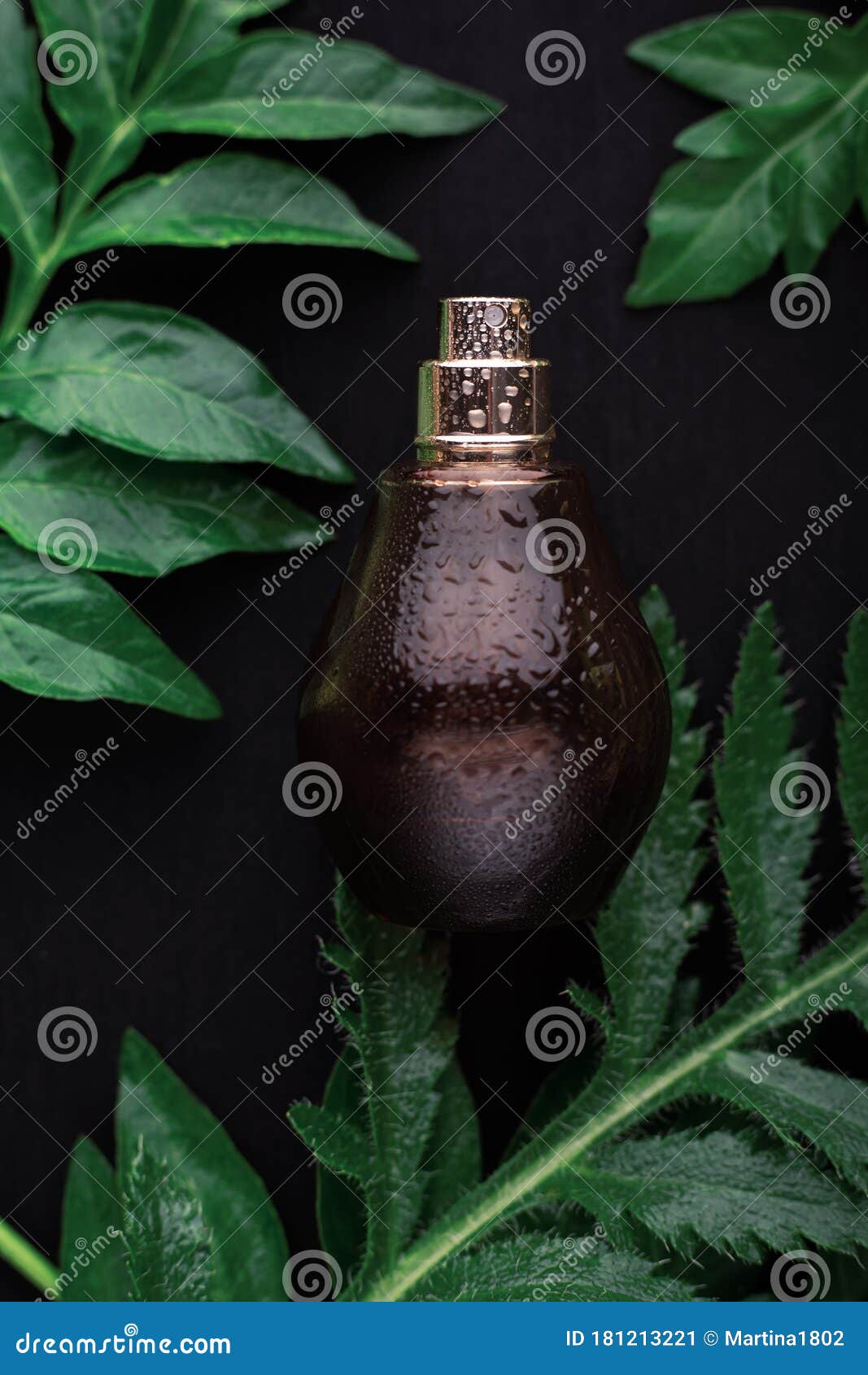 Perfume and green leaves stock image. Image of leaves - 181213221