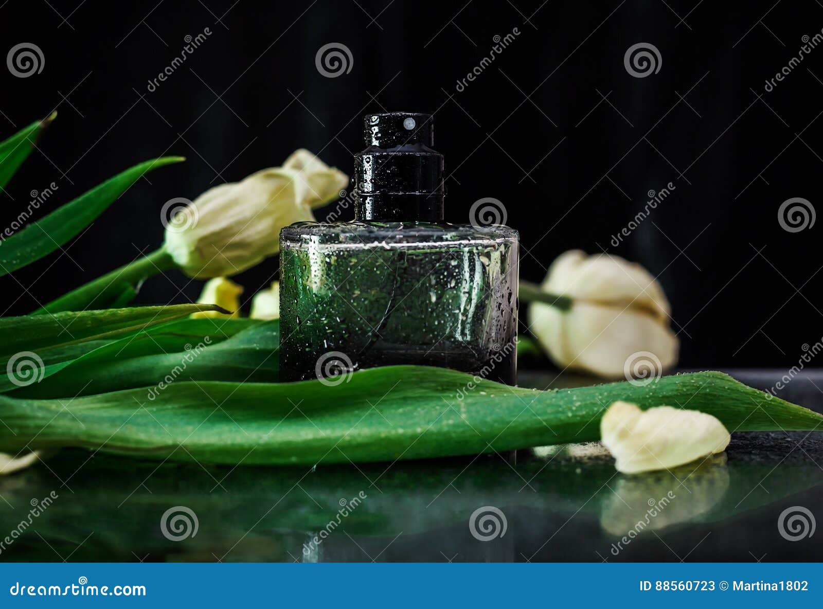 Perfume with green leaves stock image. Image of black - 88560723