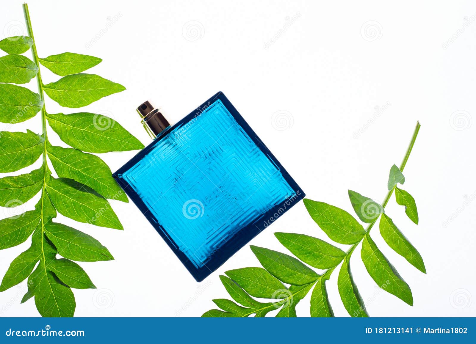 Perfume with green leaves stock image. Image of perfume - 181213141