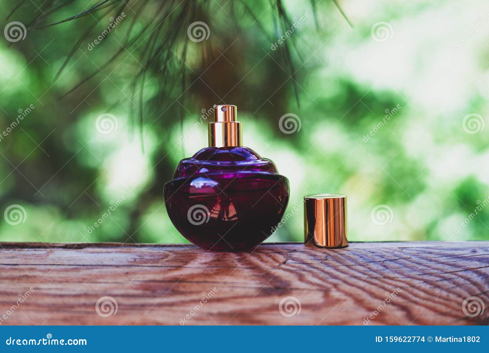 Perfume on Nature Background Stock Photo - Image of aroma, cologne ...