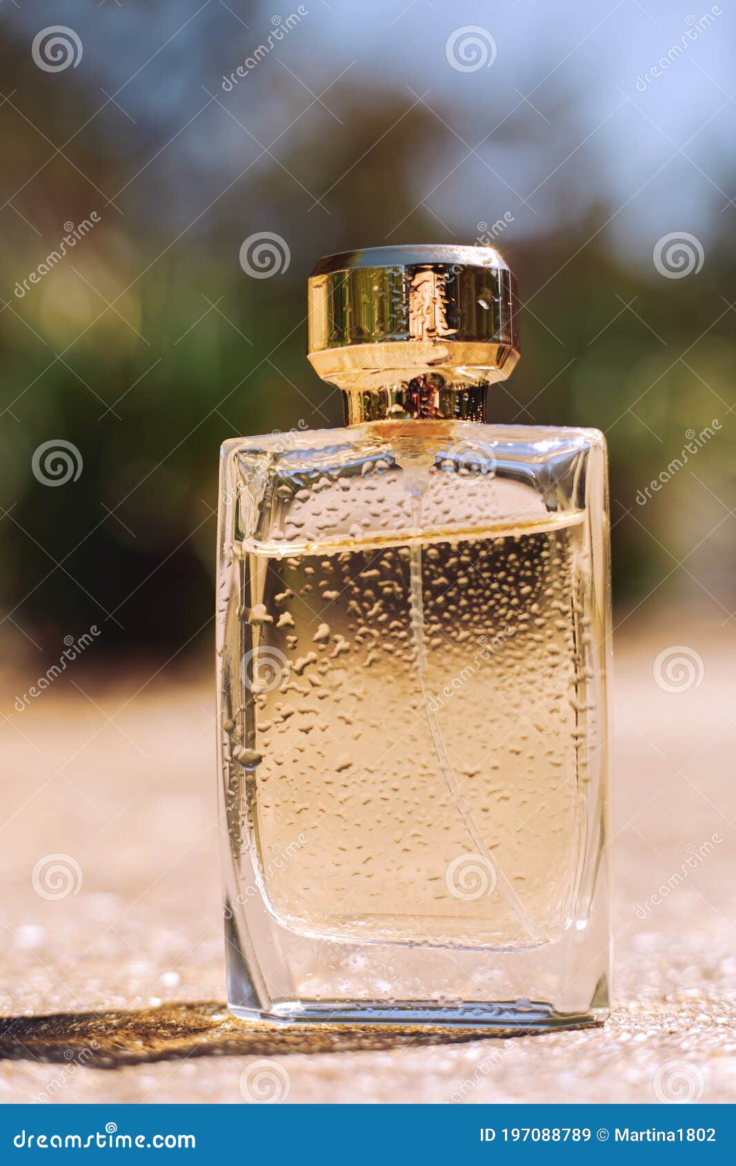 Perfume at Nature Background Stock Image - Image of aroma, summer ...