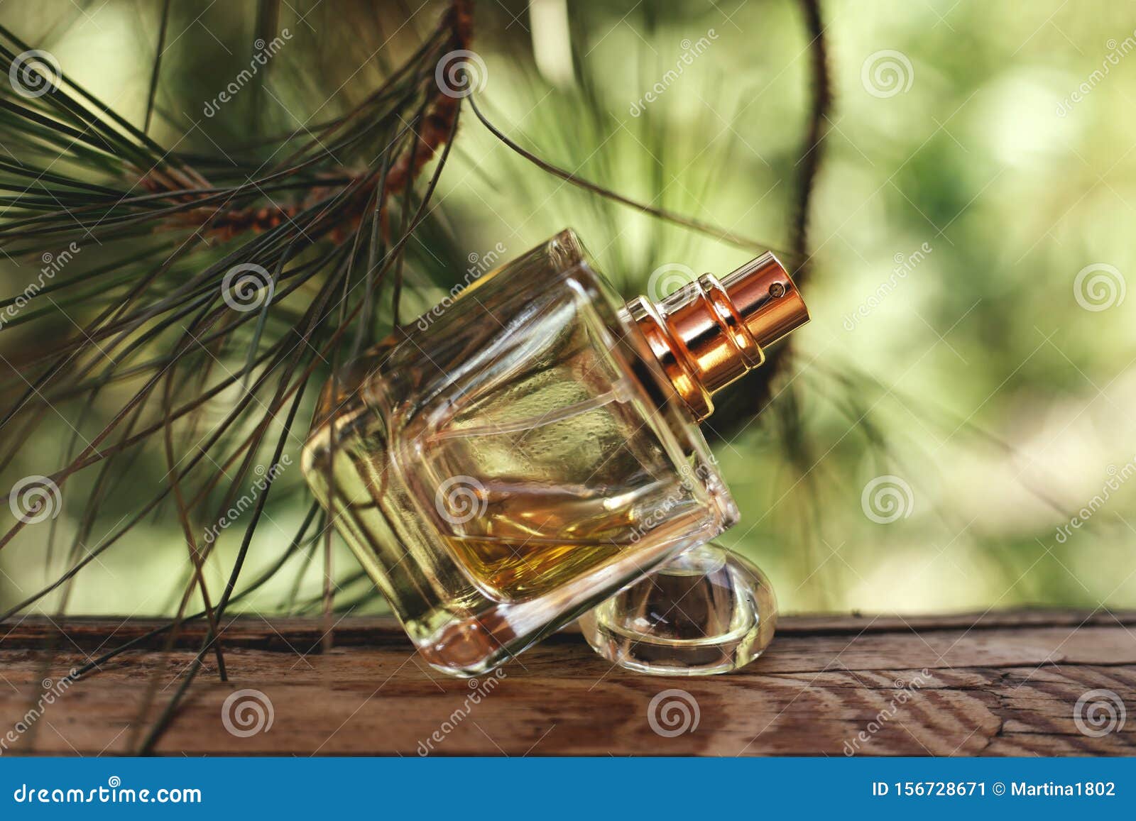 Perfume and needles stock image. Image of background - 156728671