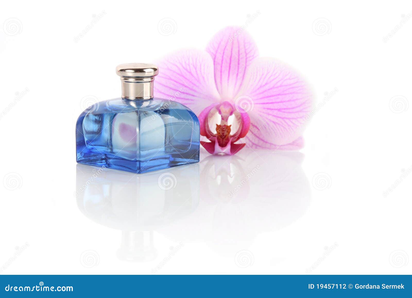 Perfume and orchid stock photo. Image of aroma, beauty - 19457112