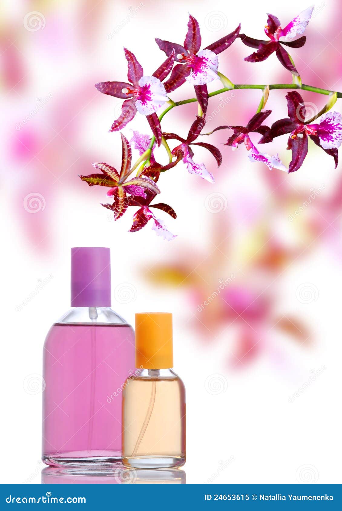 Perfume and orchid stock image. Image of color, bouquet - 24653615