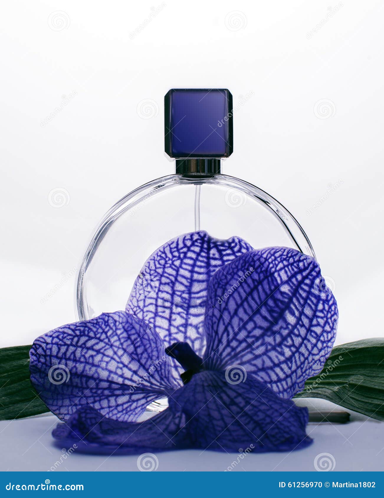 Perfume and purple orchids stock photo. Image of clear - 61256970