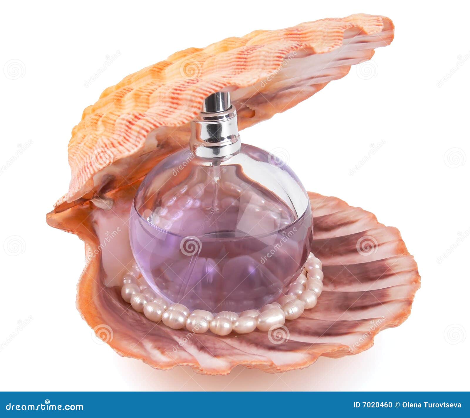 Perfume in a sea shell stock photo. Image of glowing, love - 7020460