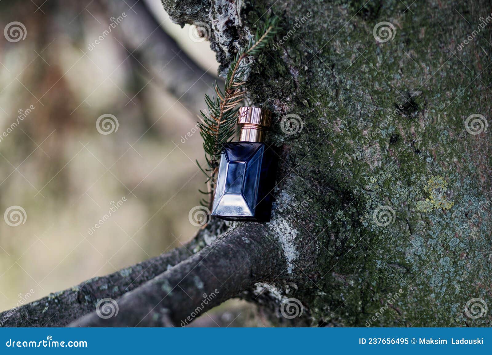 Perfume on a tree stock image. Image of package, aromatic - 237656495