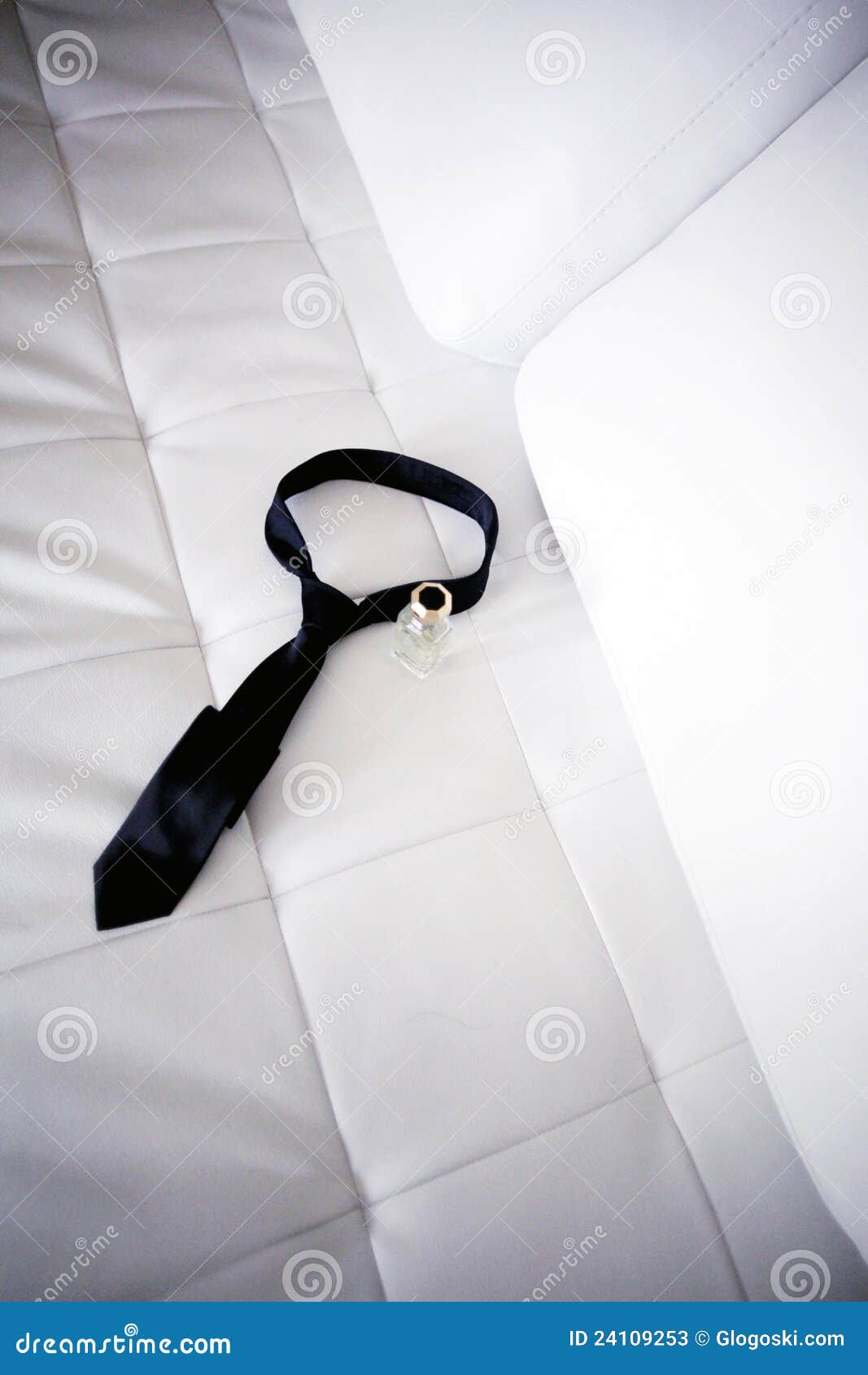 Perfume y lazo imagen de archivo. Imagen de formal, lazo - 24109253