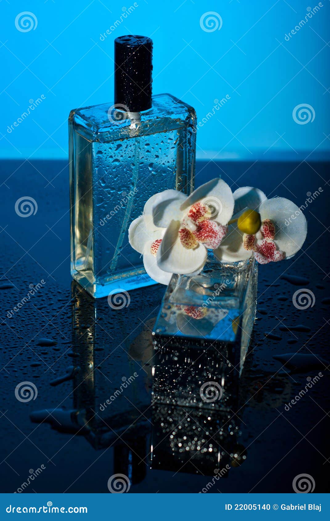 Perfumes and orchid stock photo. Image of flower, container - 22005140