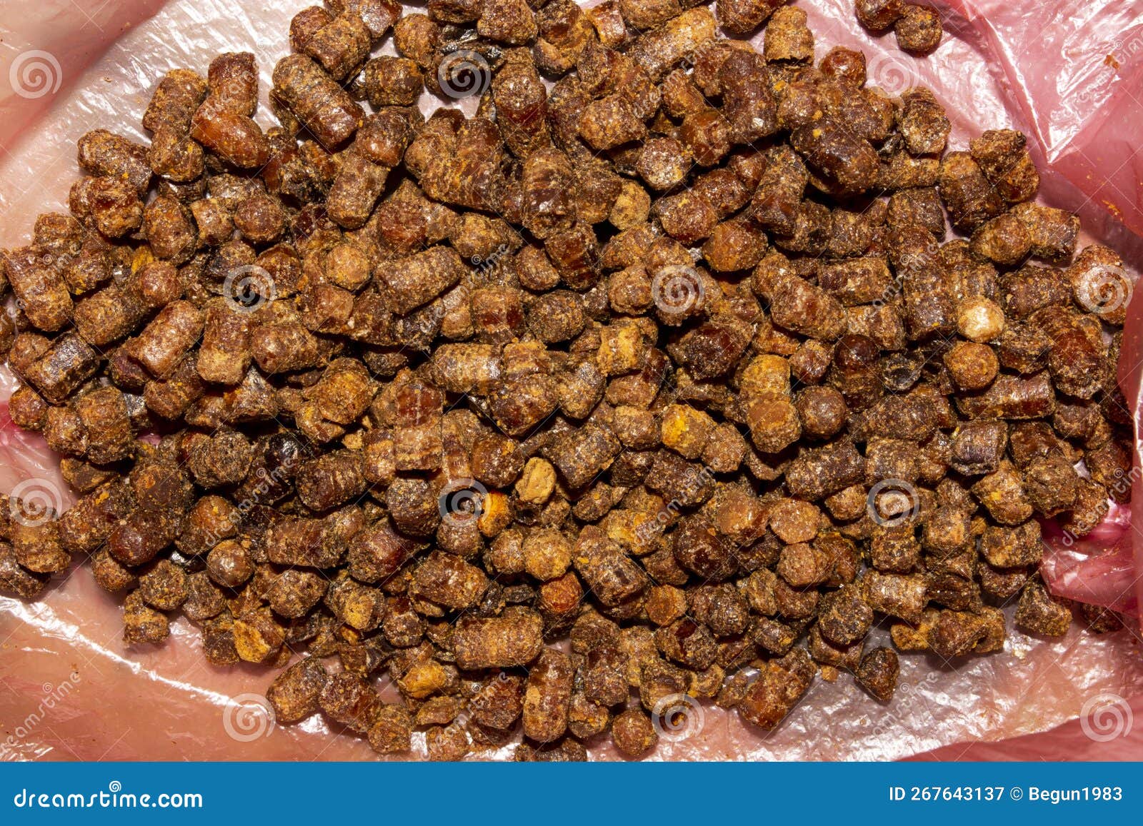 Perga.Bee Bread.Bee Pollen is Compacted.Pollen Collected by Bee ...