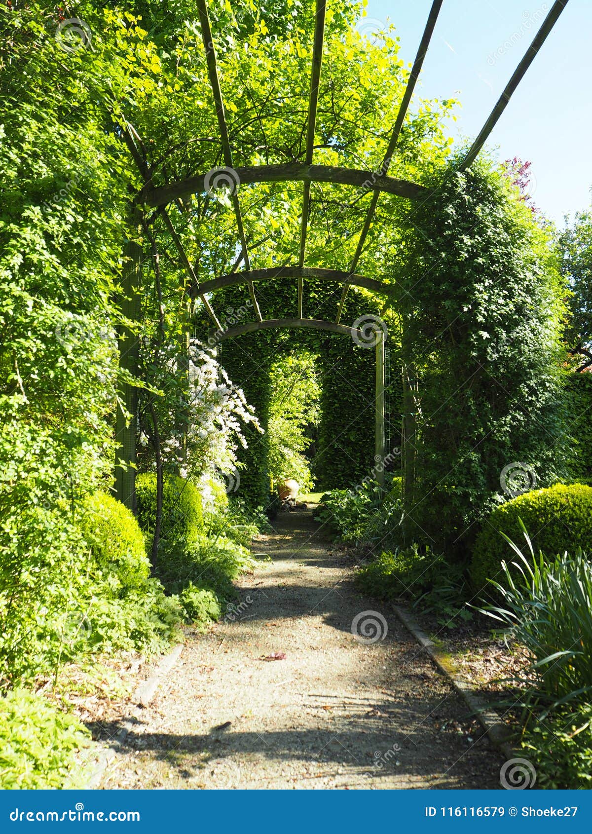 Pergola with Climbing Roses in Springtime Stock Image - Image of frame ...