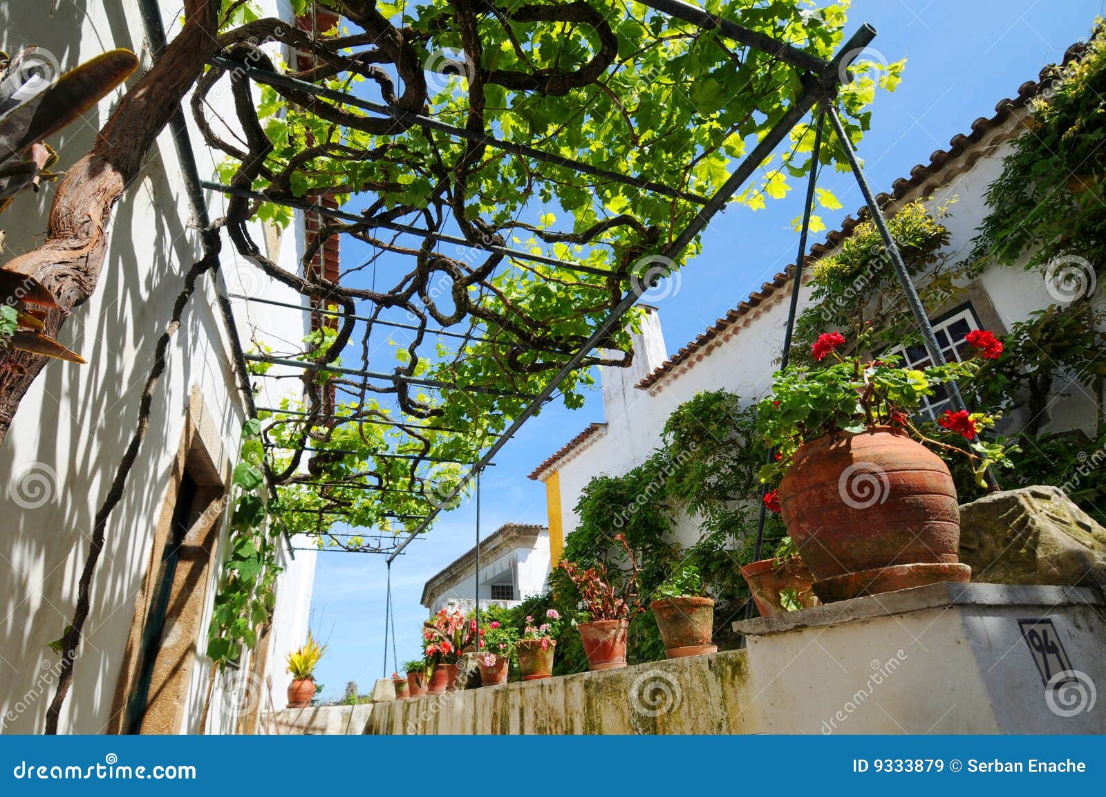 Pergola en wijnstok stock afbeelding. Image of buiten - 9333879
