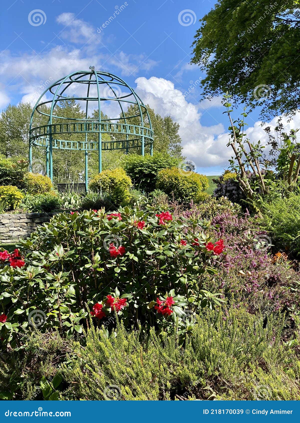 A Scenic View in a Park stock image. Image of flowers - 218170039