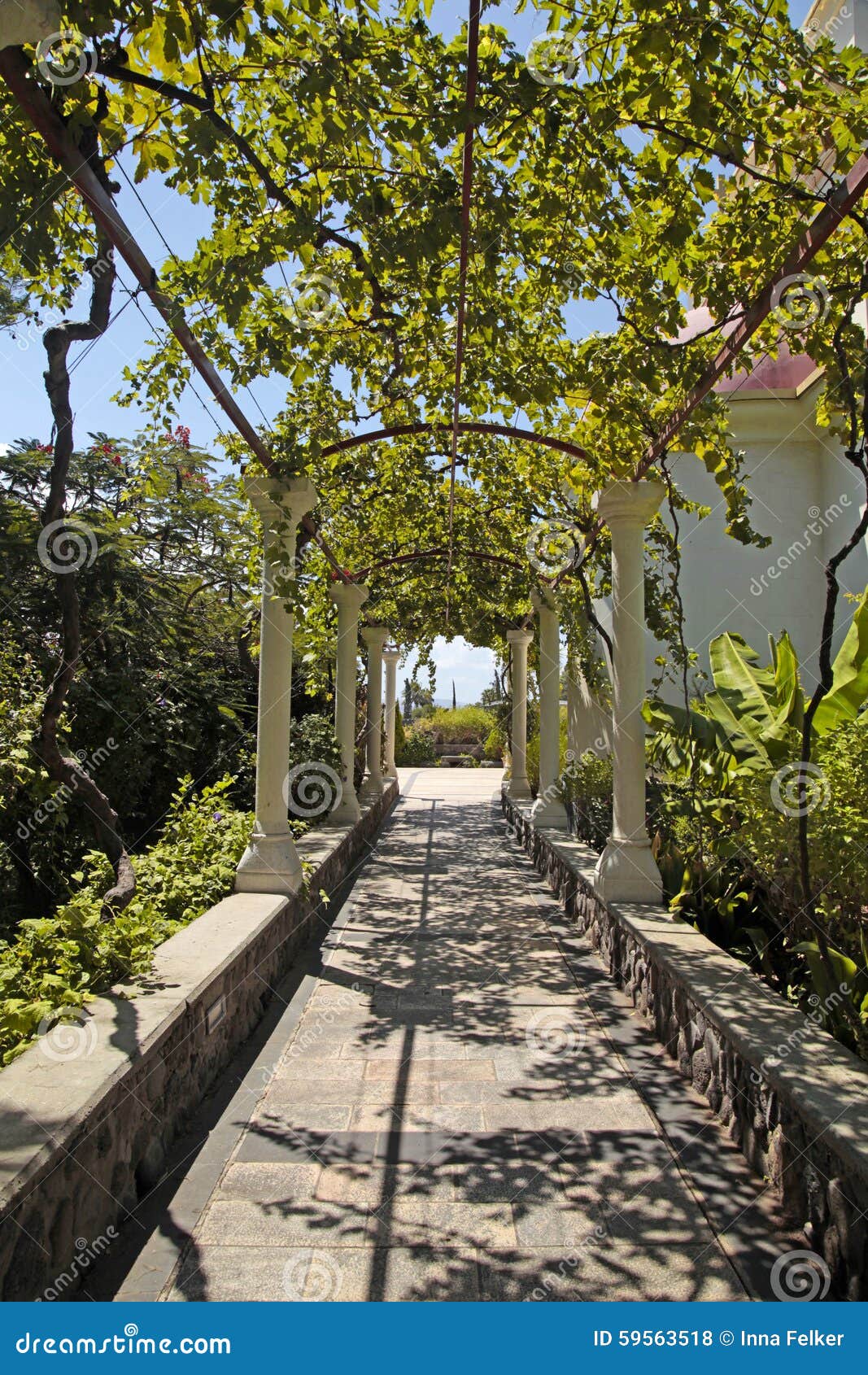 Pergola Passage in the Garden Stock Photo - Image of geometric ...