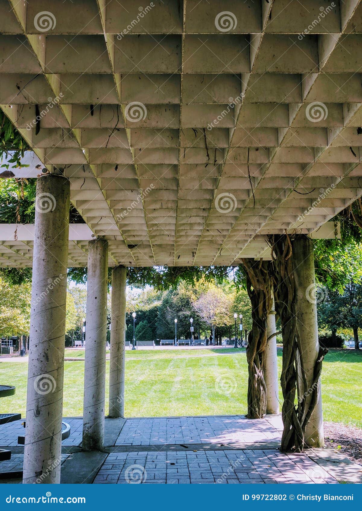 Pergola Pillars And Trees Stock Photo | CartoonDealer.com #99722802