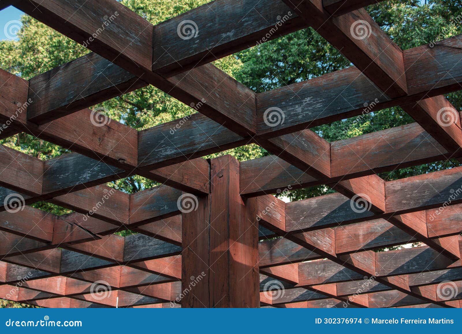 Pergola seen from below stock photo. Image of governador - 302376974