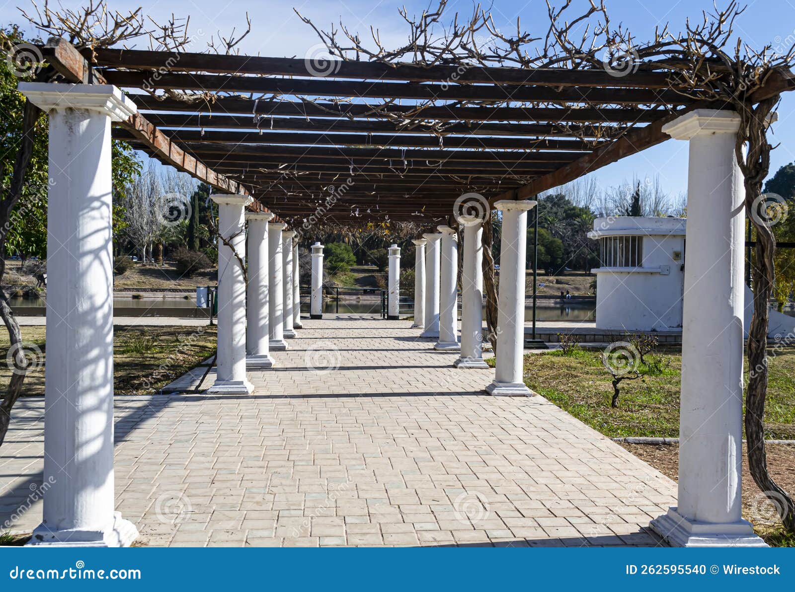 Pergola with White Columns in a Park Stock Photo - Image of footpath ...