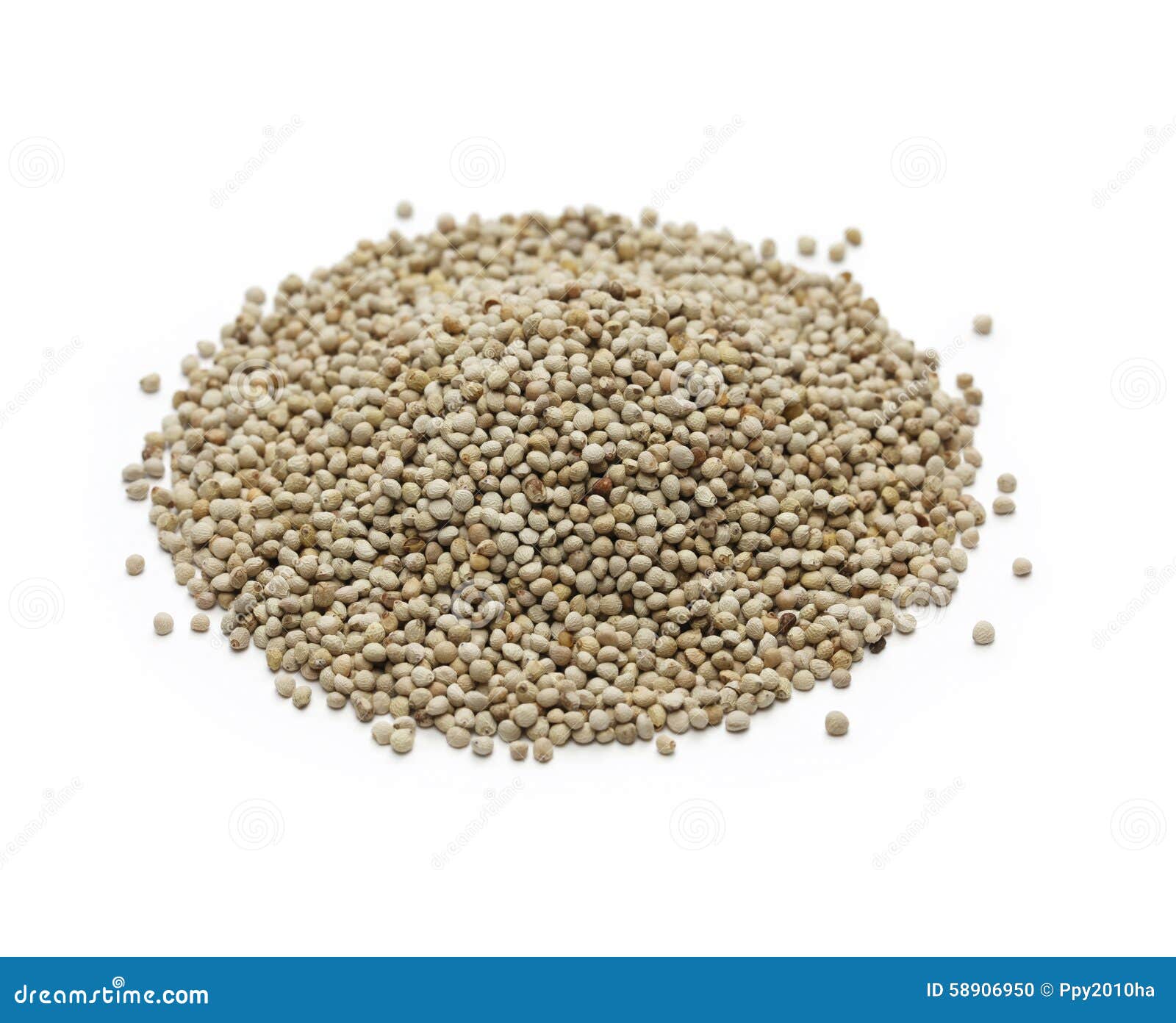 Perilla seed stock photo. Image of sesame, japanese, close - 58906950