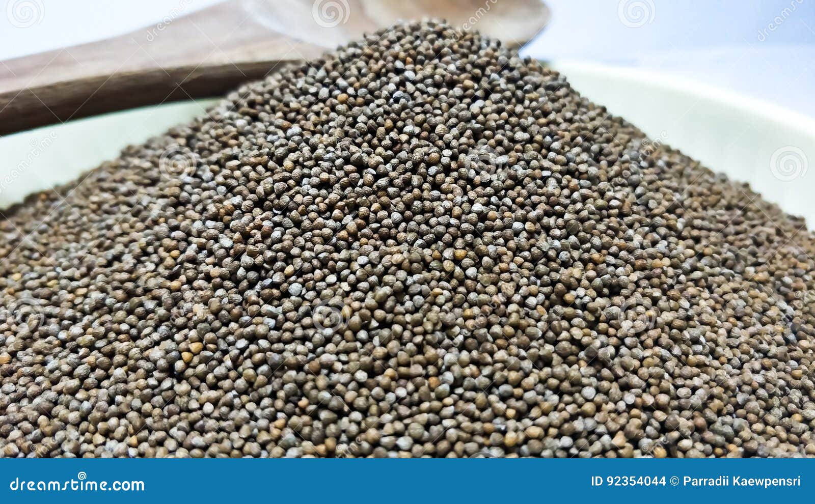 Perilla Seeds stock photo. Image of background, grain - 92354044