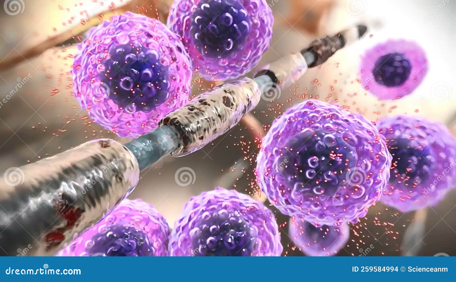 Peripheral Lymphoid Immune System Stock Illustration - Illustration of ...