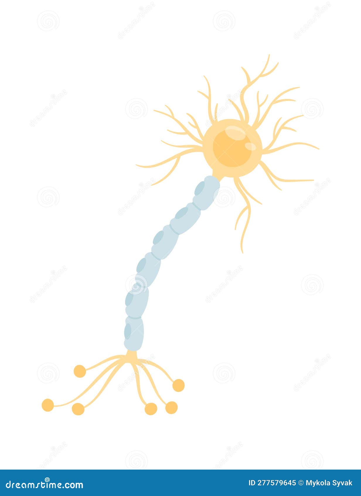 Peripheral Neuropathy Nerve Damage Stock Vector - Illustration of ...