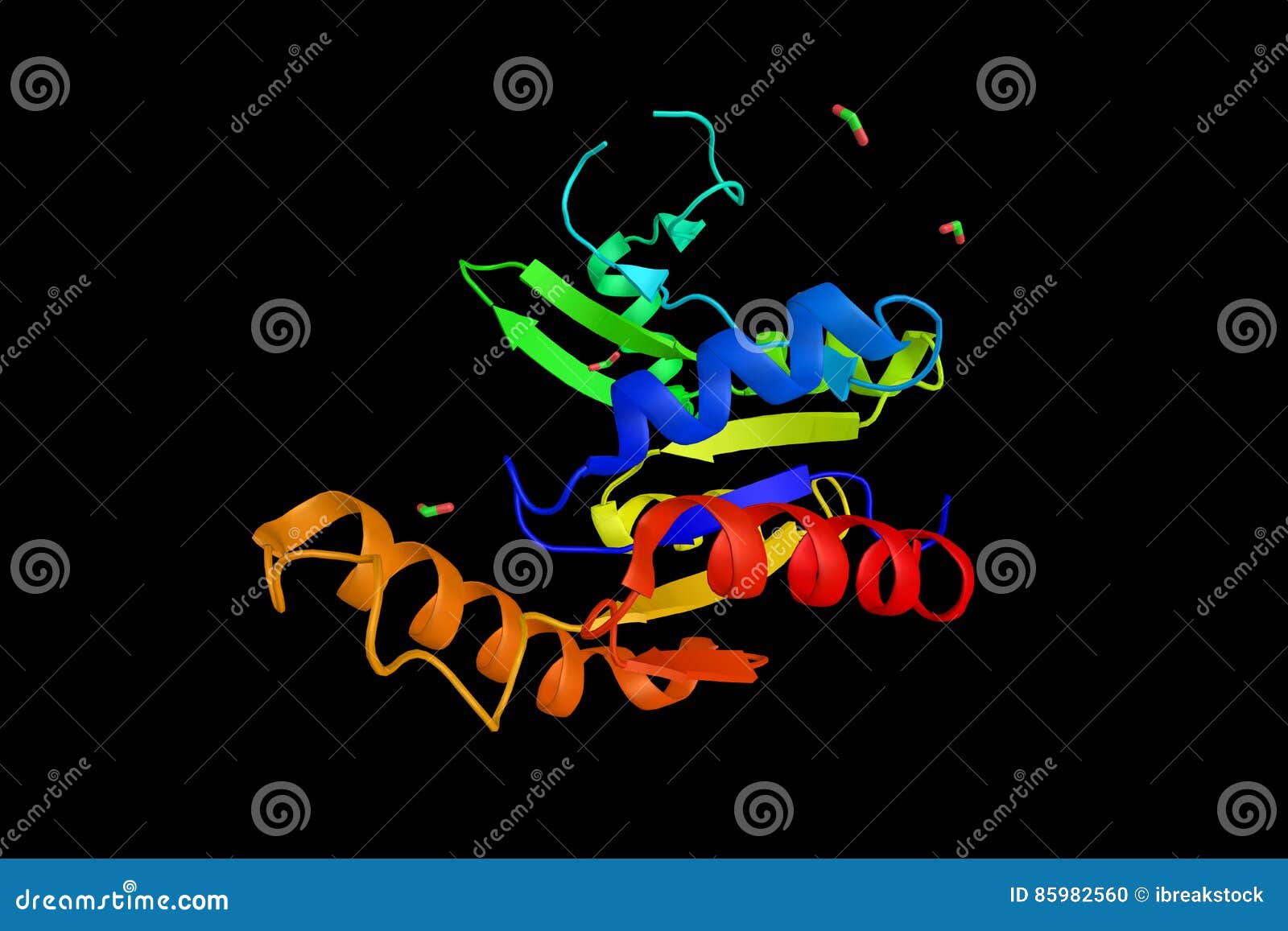 Peripheral Plasma Membrane Protein CASK, a Multidomain Scaffolding ...