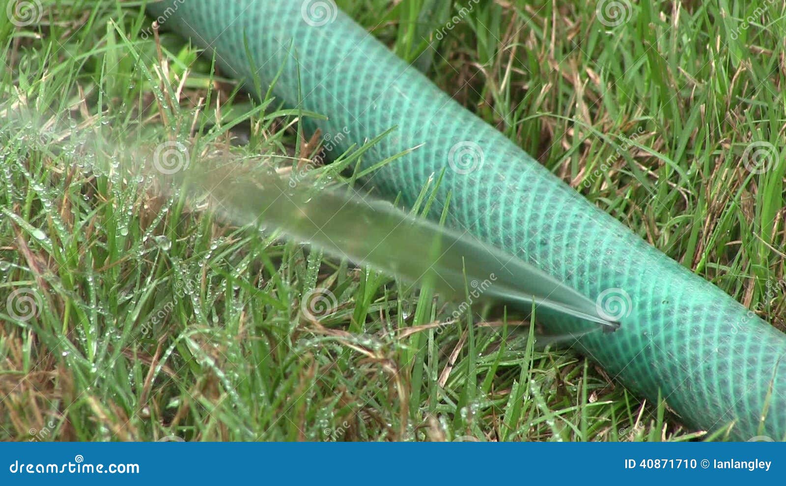 Perished Hose Pipe with Water Spurting from a Hole. Stock Footage ...