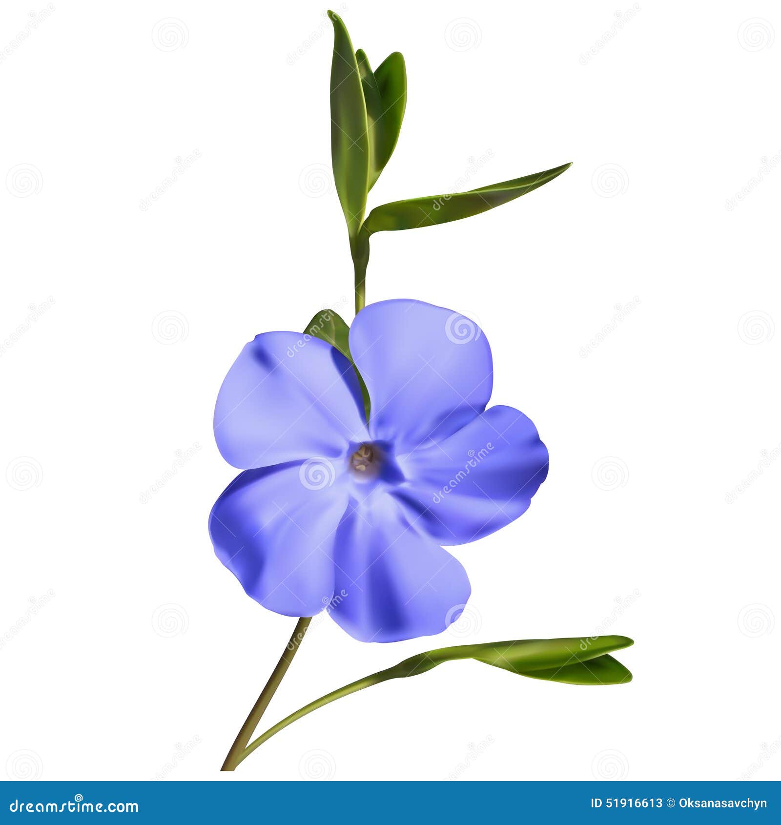 Periwinkle Cartoons, Illustrations & Vector Stock Images - 3130 ...