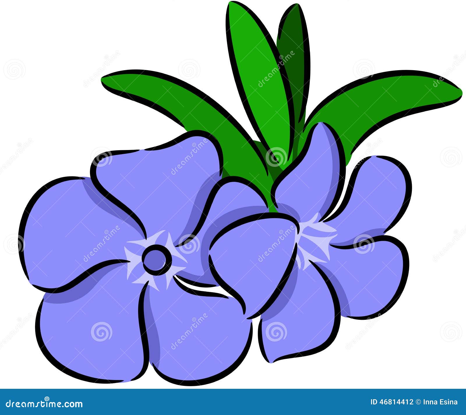 Periwinkle Flower stock vector. Illustration of petal - 46814412