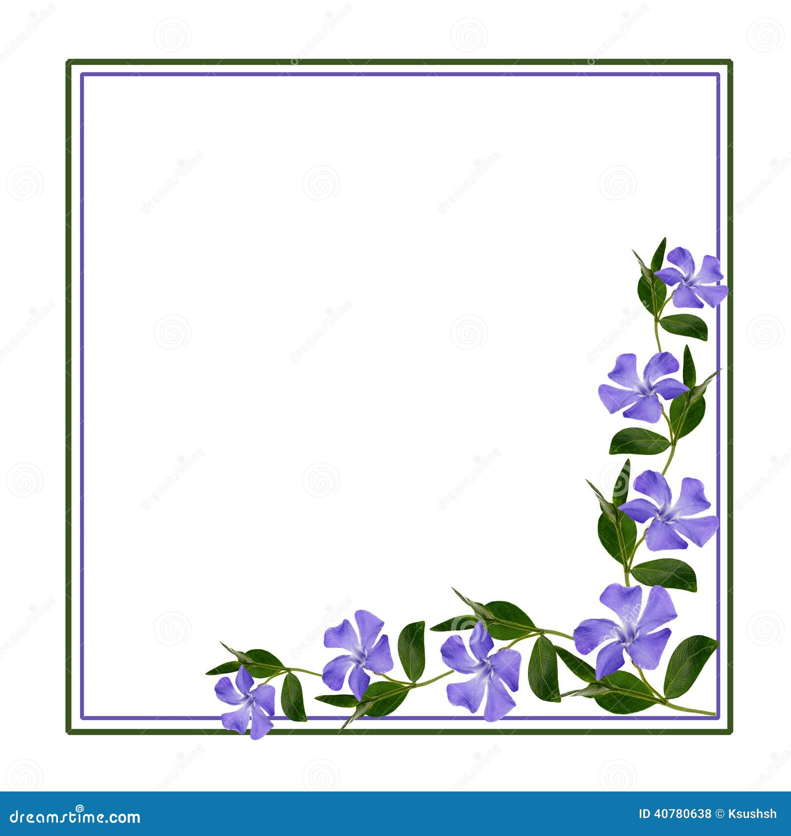 Periwinkle Flower Clipart Border