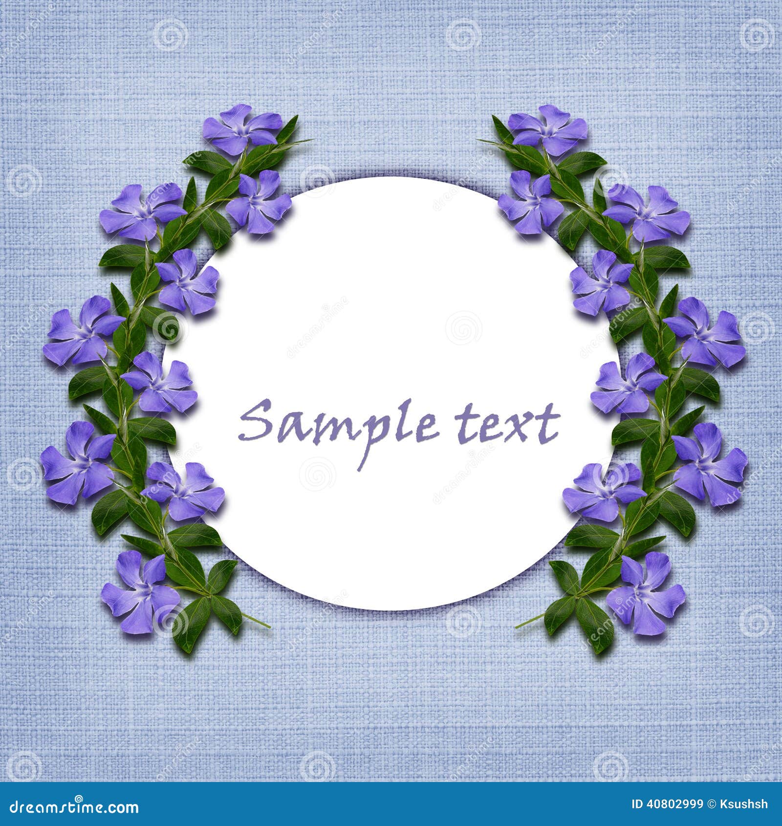 Periwinkle Flowers Line and a Circle Stock Image - Image of colored ...