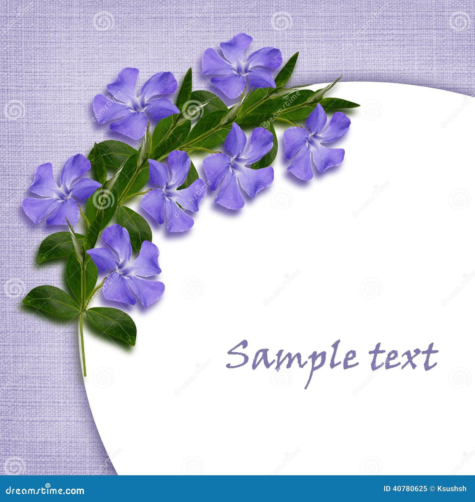Periwinkle Flowers Line in a Corner Stock Image - Image of decoration ...